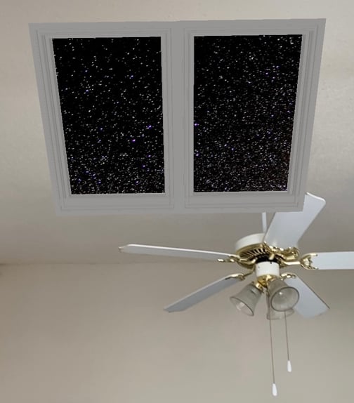 Are You Using the VELUX Visualizer App?
